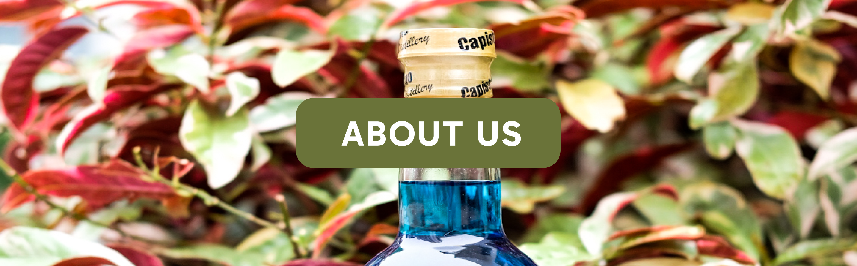 Capistrano Distillery